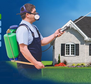 AAA PEST PROS - Updated September 2025 - 502 N 2nd St, Berthoud ...