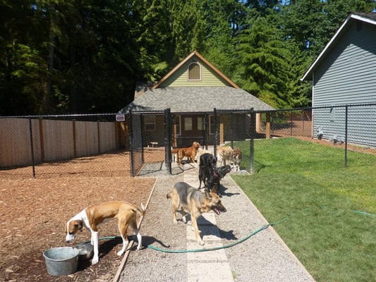 DOGS-A-JAMMIN - Updated December 2025 - 48 Reviews - 16725 232nd Ave NE ...