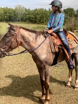 SILVER WIND STABLES - Updated December 2025 - 10 Reviews - 24413 N May ...