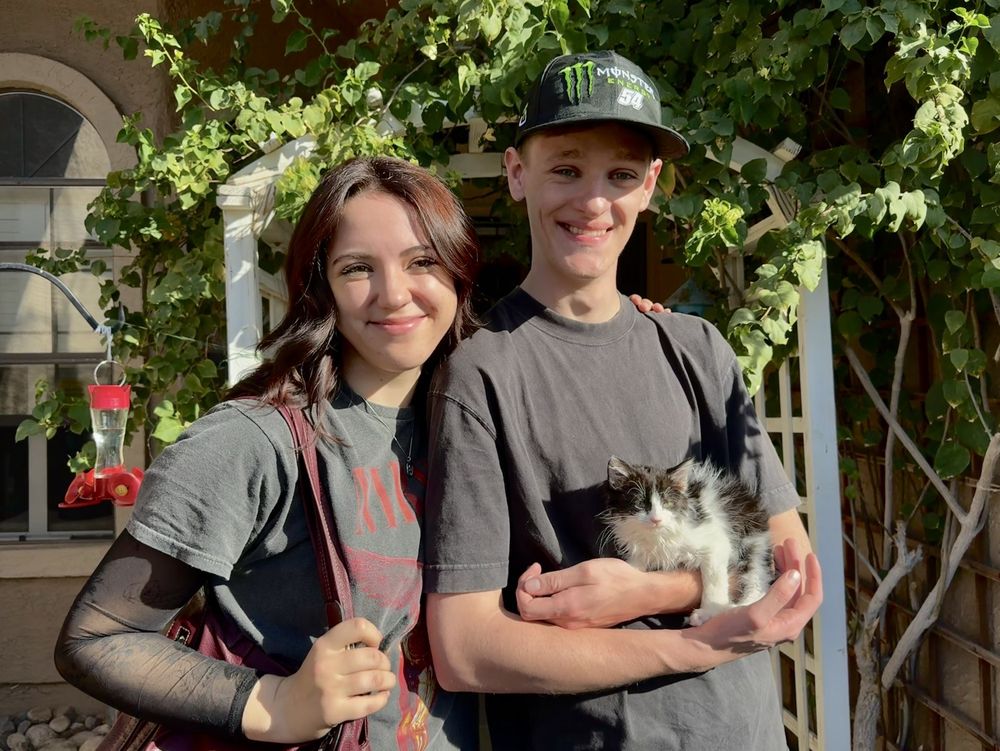 SECOND CHANCE KITTEN RESCUE - Updated December 2025 - 68 Photos ...