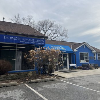 BALTIMORE HUMANE SOCIETY - Updated June 2026 - 31 Photos & 23 Reviews ...