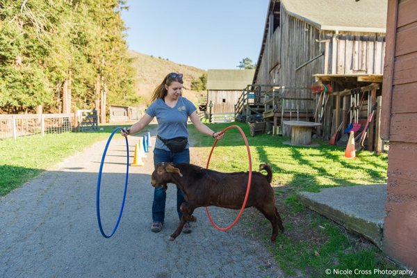 UC ELKUS RANCH ENVIRONMENTAL EDUCATION CENTER - Updated August 2025 ...