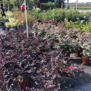 THE BUSHEL STOP - 160 Photos & 48 Reviews - 8596 W Atlantic Ave, Delray ...