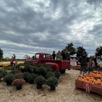 SPRINGRIDGE FARM - Updated November 2025 - 160 Photos & 44 Reviews ...