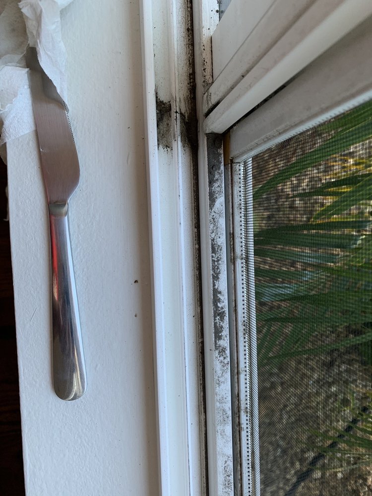 MR WINDOW CLEANER - Updated July 2024 - 66 Photos & 63 Reviews - 5419 ...