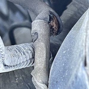 BYOT AUTO PARTS BRYAN COLLEGE STATION TX - Updated December 2025 - 22 ...