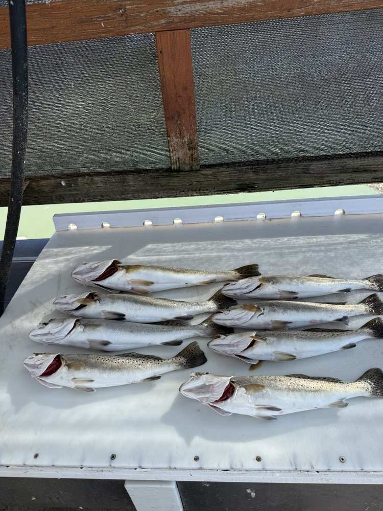 Moe Fishin Charters, South Padre Island | Roadtrippers