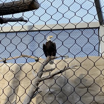 ABQ BIOPARK ZOO - Updated May 2025 - 884 Photos & 272 Reviews - 903 ...