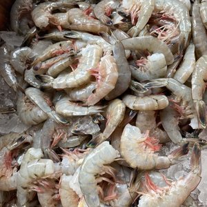 DOCKSIDE N’ DUCK - Updated August 2024 - 70 Photos & 94 Reviews - 1216 ...