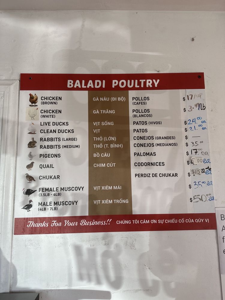 BALADI POULTRY - Updated March 2025 - 40 Photos & 37 Reviews - 8261 ...
