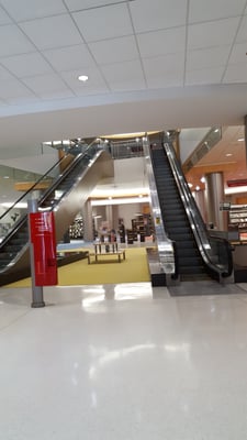 MEMPHIS PUBLIC LIBRARY - Updated April 2025 - 50 Photos & 36 Reviews ...