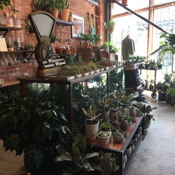 GLASSWING - Updated December 2025 - 103 Photos & 59 Reviews - 1525 ...