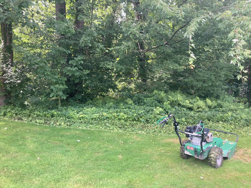 TIM’S LAWN AND LANDSCAPE - Updated August 2025 - Request a Quote ...