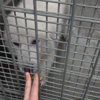 LOS ANGELES DEPARTMENT OF ANIMAL CONTROL - Updated August 2025 - 10 ...