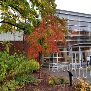 WEST LINN PUBLIC LIBRARY - Updated January 2025 - 47 Photos & 10 ...
