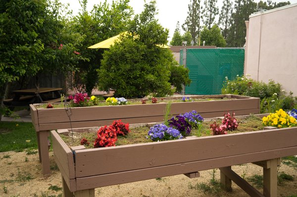 THE ORCHARD POST ACUTE CARE - Updated January 2026 - 21 Photos & 61 ...