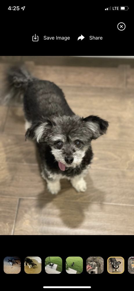 TEXAS RUFF HOUSE - Updated July 2025 - 76 Photos & 13 Reviews ...