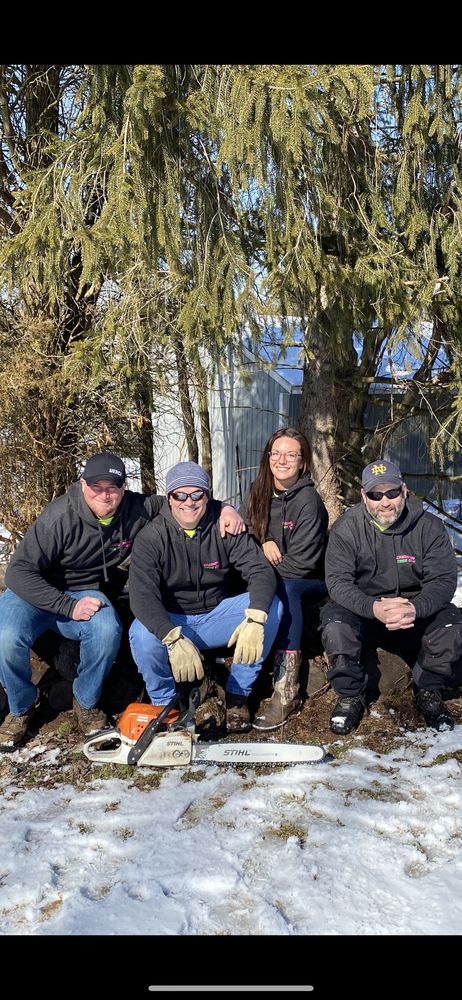 CHAMPION TREE CARE - Updated January 2025 - 11 Photos - 873 School ...