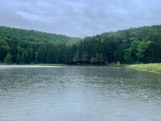 SPRUCE KNOB LAKE CAMPGROUND - 14 Photos - Forest Rd 389, Whitmer, WV - Yelp