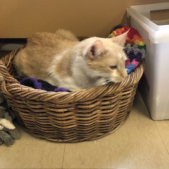 HAMILTON GROVE HEALTHCARE AND REHABILITATION - Updated January 2026 ...