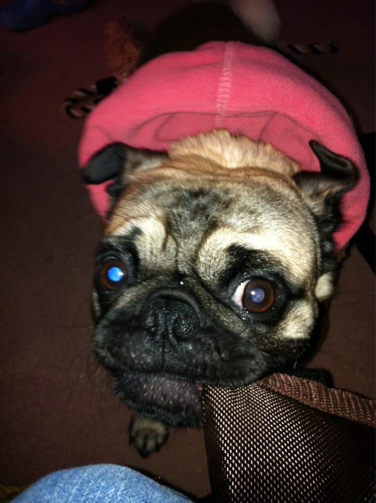 PERTH FM RADIO - Updated October 2025 - 43 Wilson Street W, Perth ...