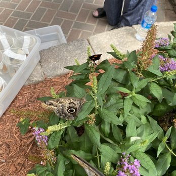 PERRY’S CAVE - Updated January 2026 - 115 Photos & 36 Reviews - 979 ...