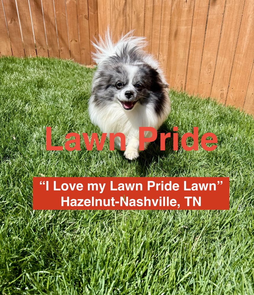 LAWN PRIDE OF NORTH NASHVILLE - Updated October 2025 - 36 Photos ...