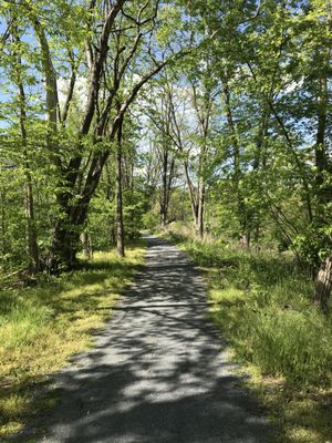 LETORT SPRING RUN NATURE TRAIL - Updated June 2024 - 415 Franklin St ...