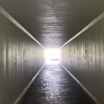 BARK BEACH - Updated August 2025 - 24 Photos - 3001 N Ocean Blvd, Boca ...