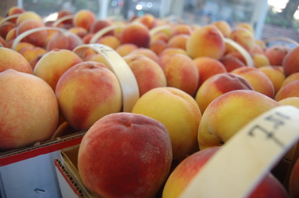 MOLNAR FARMS - Updated October 2025 - 3115 E Western Reserve Rd, Poland ...