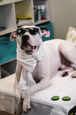 RUFF HOUSING CARY - Updated December 2025 - 10 Photos & 17 Reviews ...