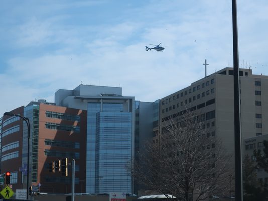 ADVOCATE LUTHERAN GENERAL HOSPITAL - 64 Photos & 235 Reviews - 1775 ...