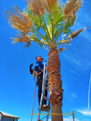 DANNY G YARD CARE AND TREE CARE - Updated October 2025 - 66 Photos & 17 ...