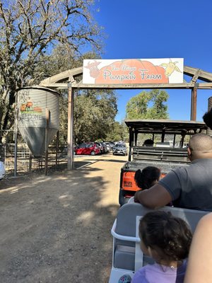 FOG WILLOW FARMS - Updated October 2025 - 492 Photos & 197 Reviews ...