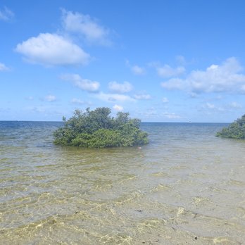 ROBERT K REES MEMORIAL PARK - Updated January 2026 - 55 Photos & 26 Reviews - 4835 Green Key Rd ...