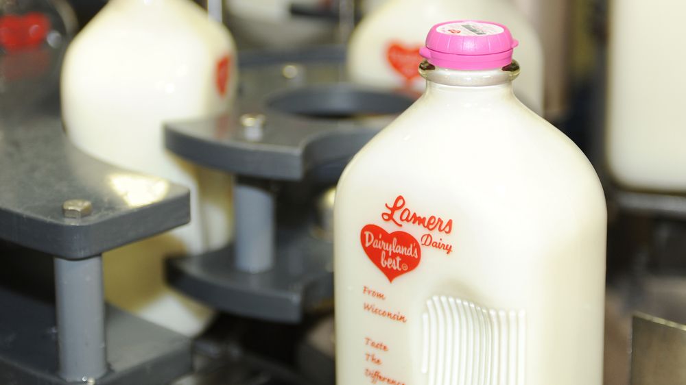 LAMERS DAIRY - Updated January 2026 - 36 Photos & 10 Reviews - N410 ...