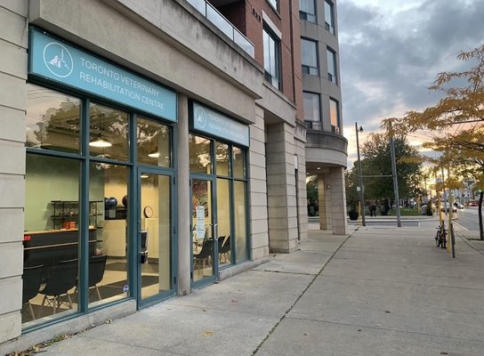 TORONTO VETERINARY REHABILITATION CENTRE - Updated December 2024 - 1735 ...