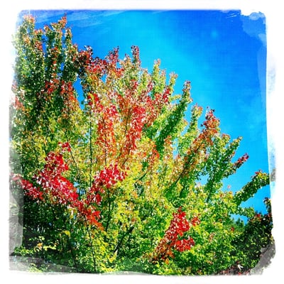 MILL HOLLOW VERMILION RIVER RESERVATION - Updated September 2025 - 30 ...