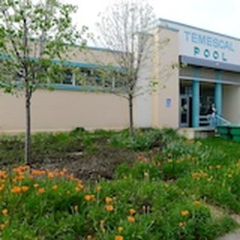 TEMESCAL MASTERS SWIM TEAM - Updated August 2025 - 371 45th St, Oakland ...