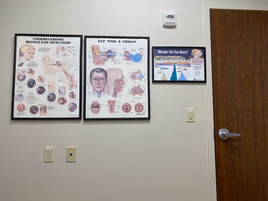 CAPITAL ENT & SINUS CENTER - Updated April 2025 - 51 Photos & 198 ...