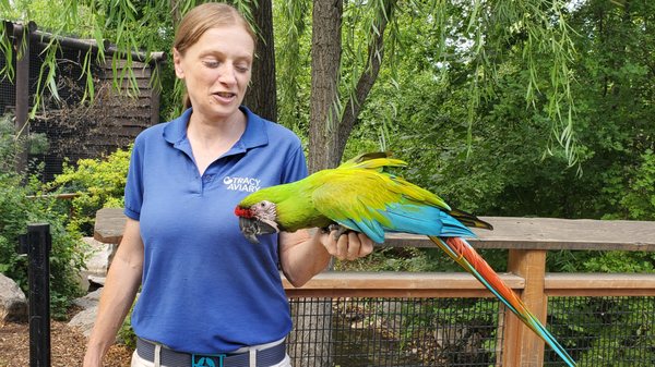 TRACY AVIARY - Updated July 2025 - 532 Photos & 193 Reviews - 589 E ...