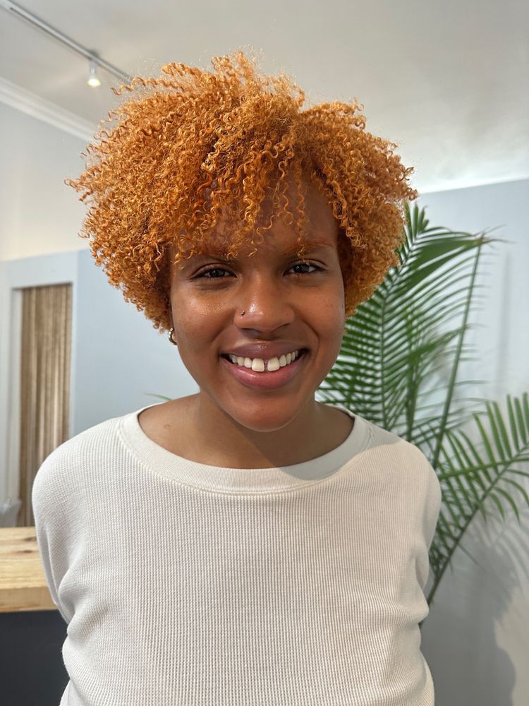 FREEDOM CURLS - 65 Photos & 17 Reviews - 6233 Carrollton Ave ...