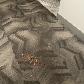 LUCE APARTMENTS - 122 Photos & 152 Reviews - 7290 Edinger Ave ...