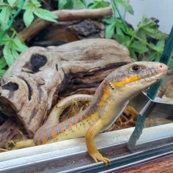 EAST BAY VIVARIUM - Updated August 2024 - 594 Photos & 580 Reviews ...