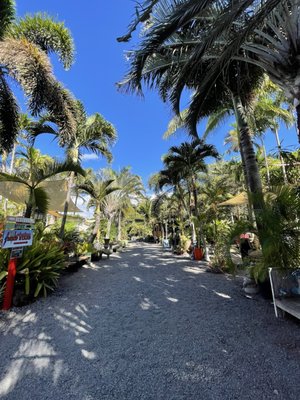 KIHEI FOOD OASIS - Updated December 2025 - 188 Photos & 61 Reviews - 30 ...