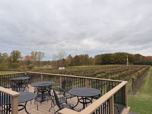 M CELLARS - Updated April 2026 - 147 Photos & 112 Reviews - 6193 S ...