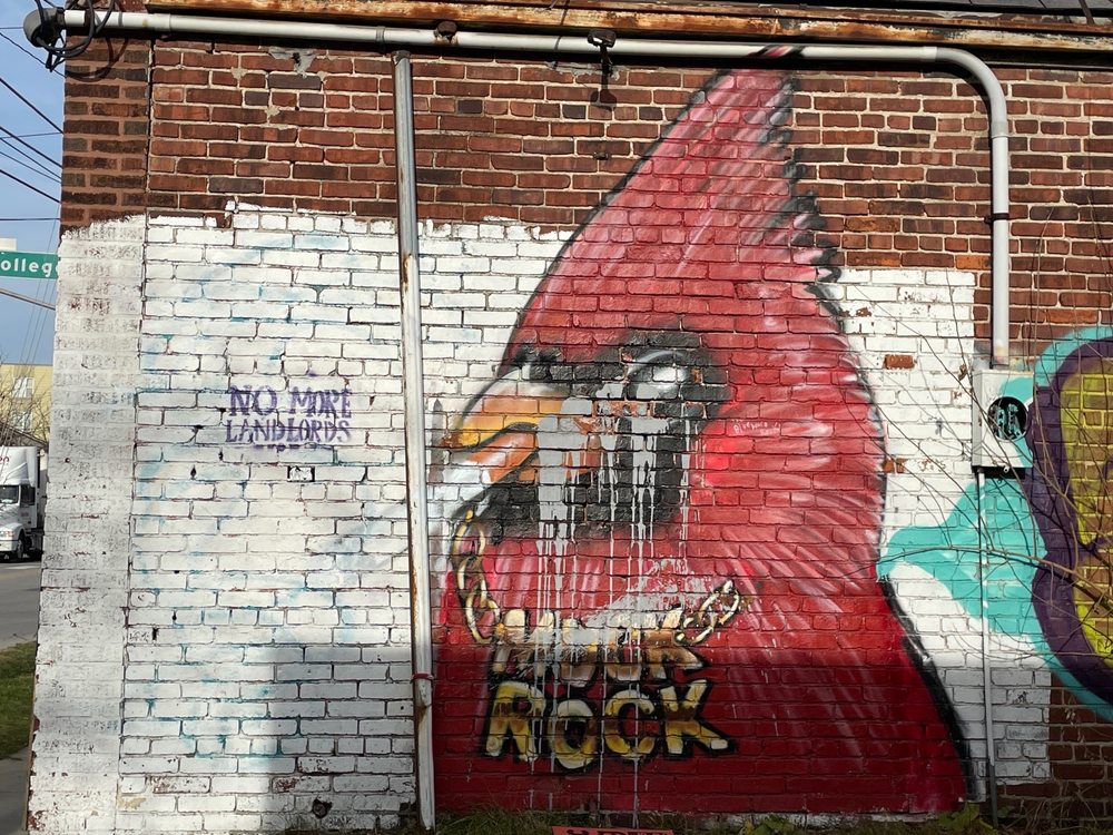 SMOKING CARDINAL - Updated August 2024 - 638 Virginia Ave, Indianapolis ...