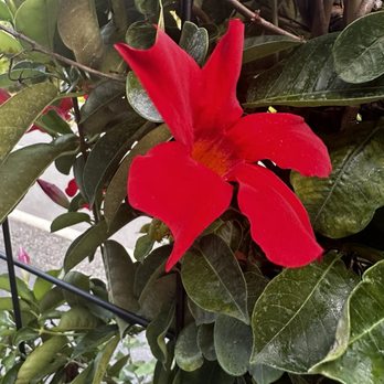 NOSTIMO MEDITERRANEAN GREEK RESTAURANT - Updated December 2025 - 68 ...