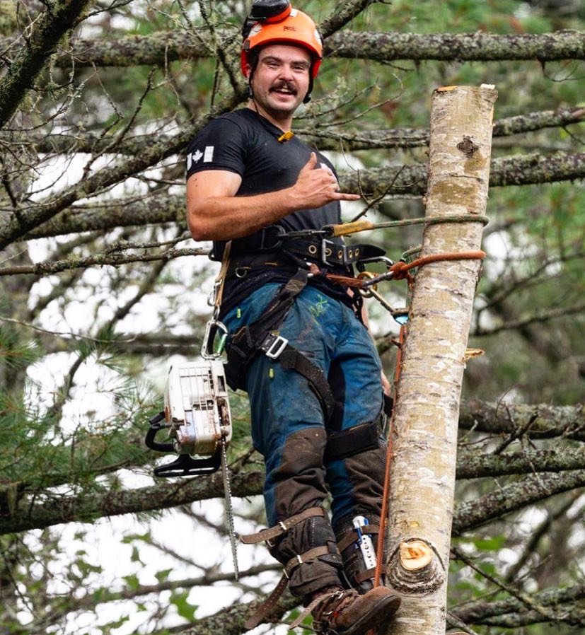 UPPER HUNTLEY FORESTRY - Updated December 2024 - Ottawa, Ontario - Tree ...