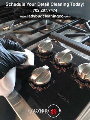 LADYBUG CLEANING - Updated July 2025 - 187 Photos & 183 Reviews - 4150 ...